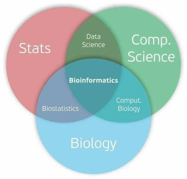 دليلك إلى مجال المعلوماتية الحيوية Bioinformatics | LookInMena